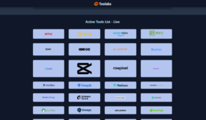Cara Menggunakan Toolabs.live untuk Pemula | InfoTimes